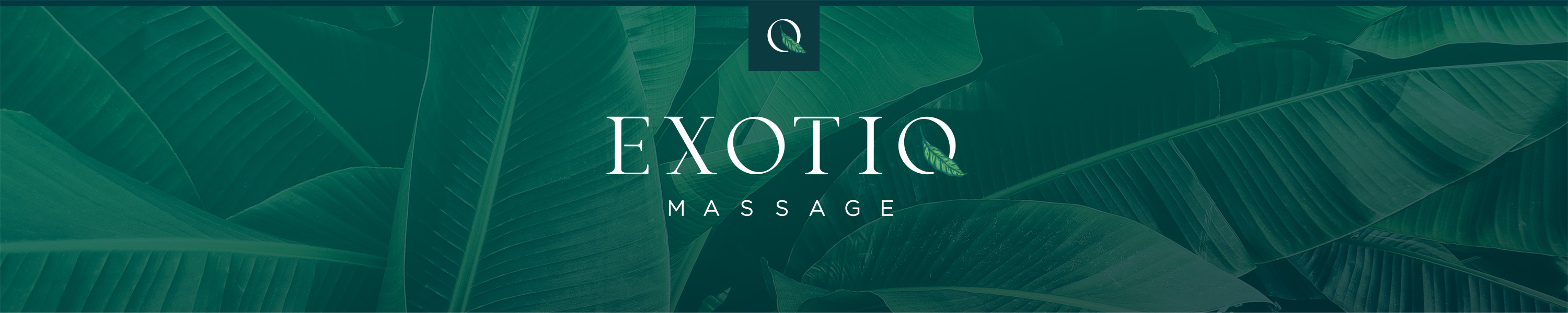 Amazon.co.uk: Exotiq: Aromatic Oils