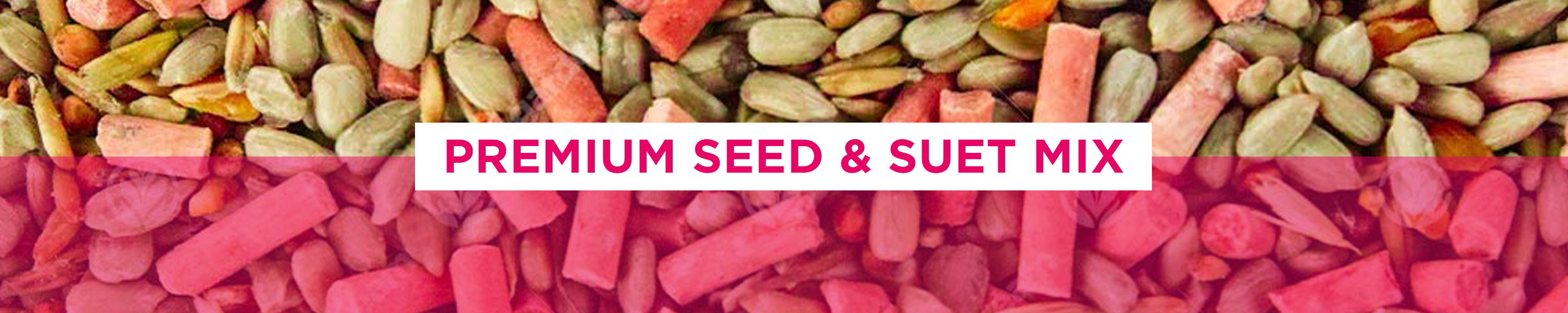 Amazon.co.uk: SQUAWK: Premium Seed & Suet Mix