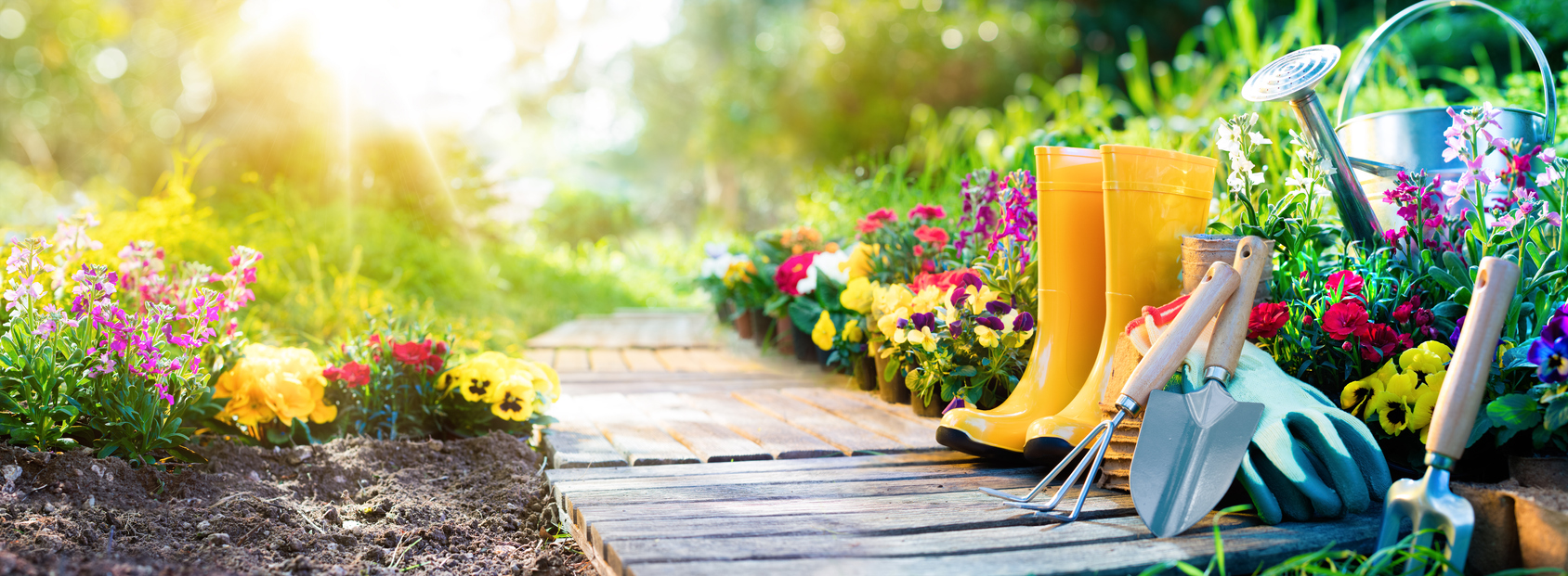 Amazon.co.uk: Easylife: Garden