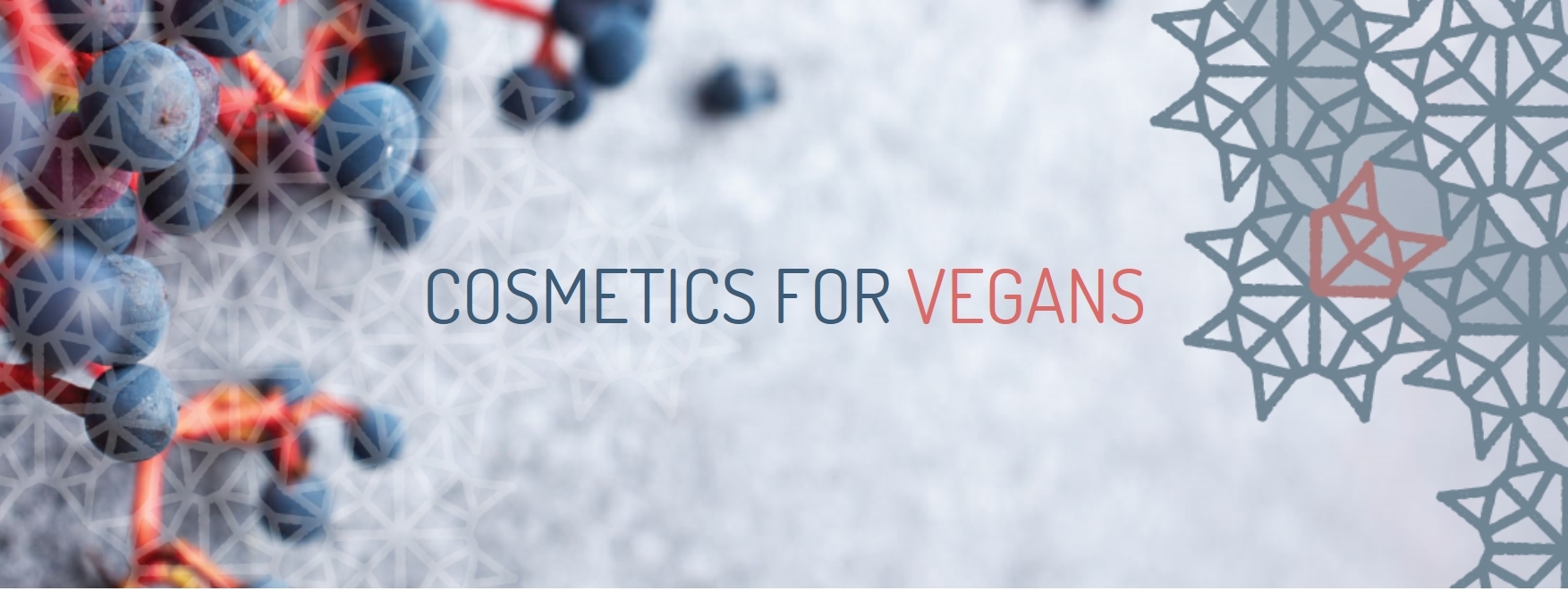 Amazon.co.uk: VEGAN FOX