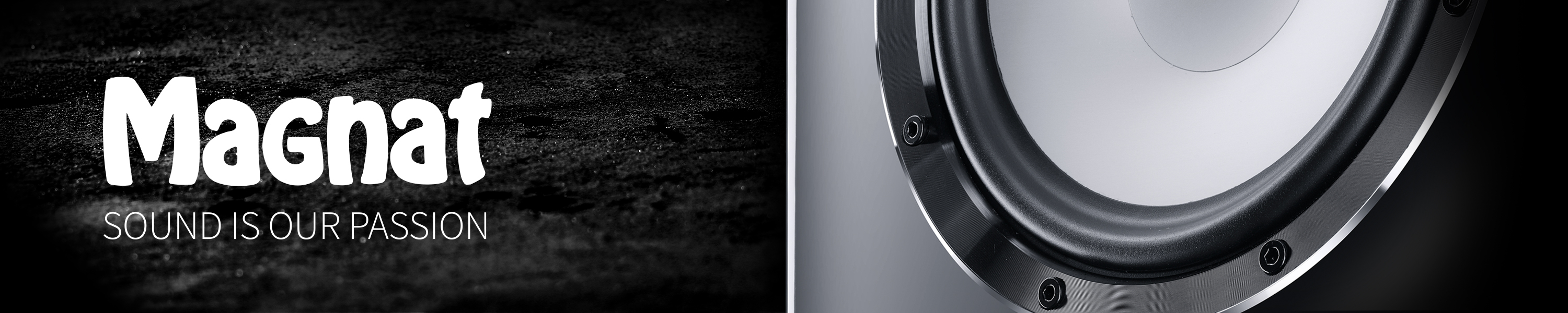 Amazon.de: Premium Audio Company Germany GmbH: Passive Lautsprecher