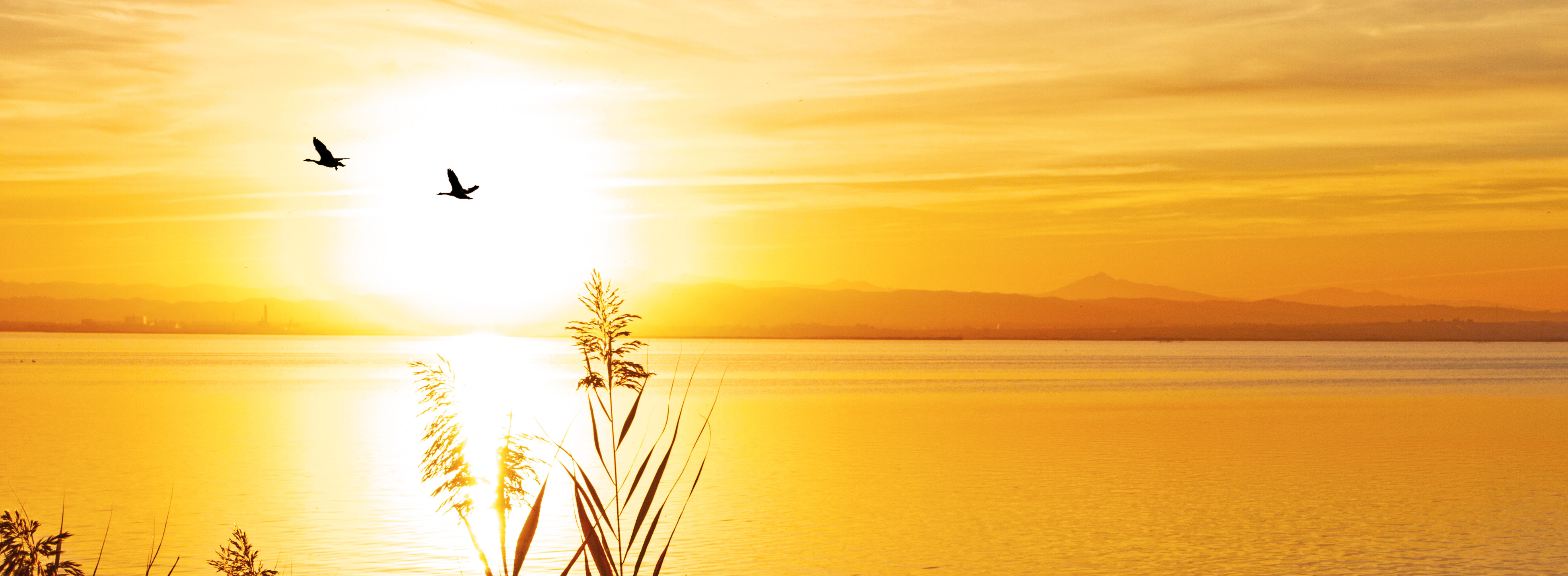 Amazon.de: Santec Music: MP3