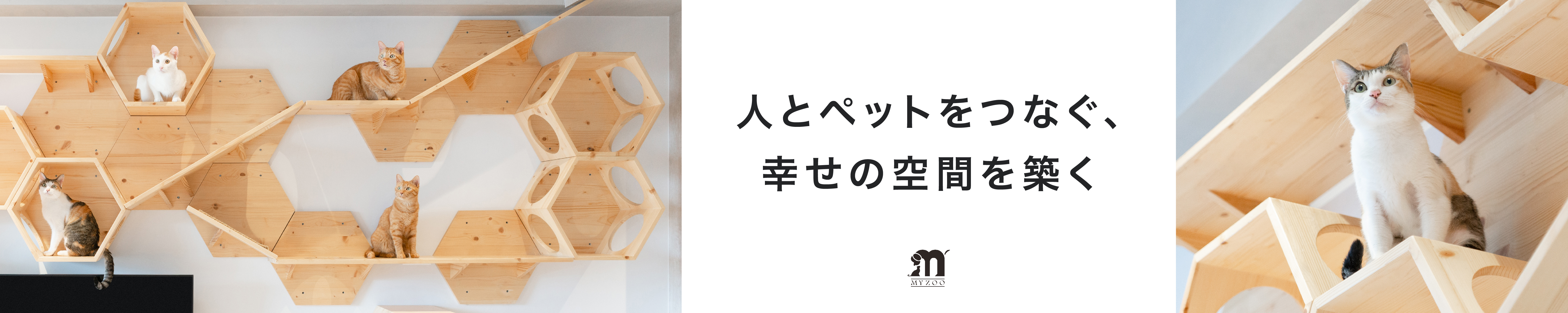 Amazon.co.jp: MYZOO: About MYZOO