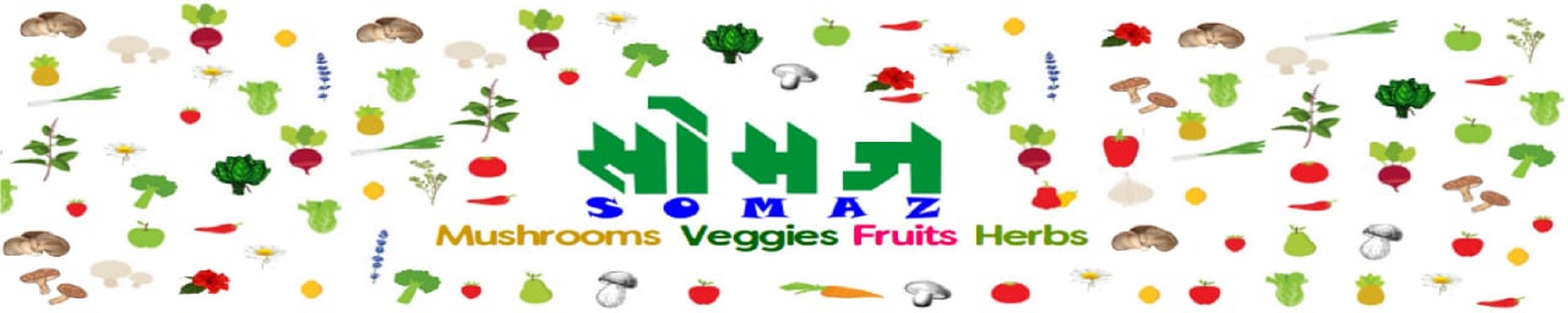 Amazon.in: SOMAZ