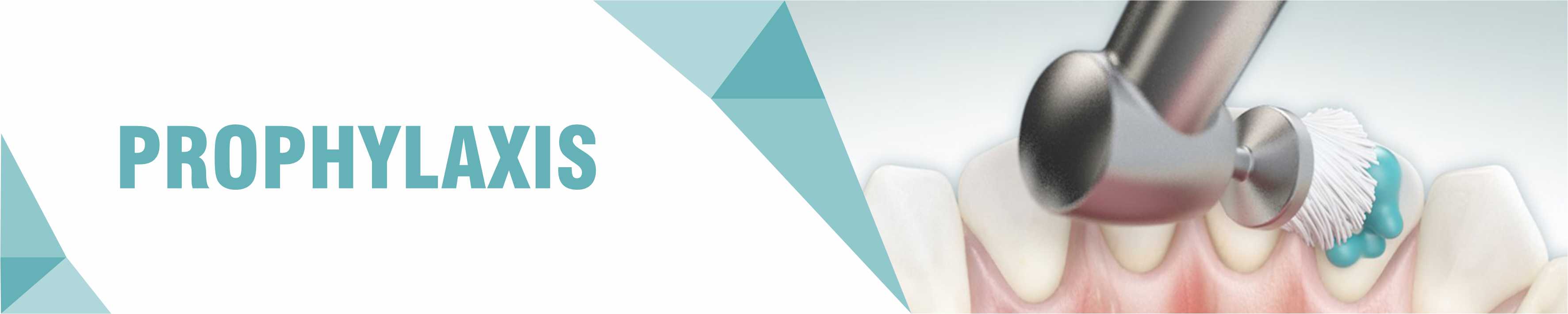 Amazon.in: MEDICEPT DENTAL: PROPHYLAXIS