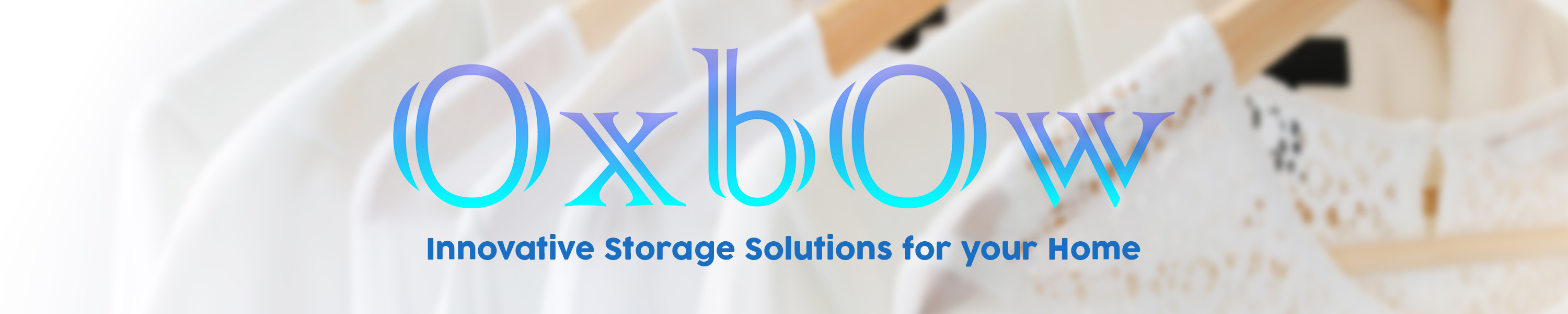 Amazon.in: Oxbow: Underwear Organizer