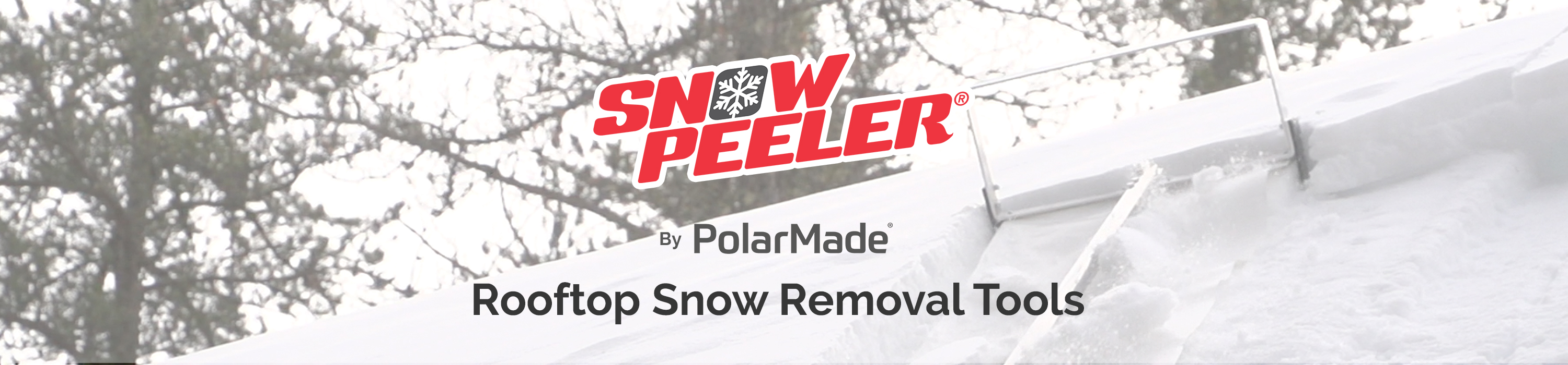 Amazon.ca: SNOWPEELER