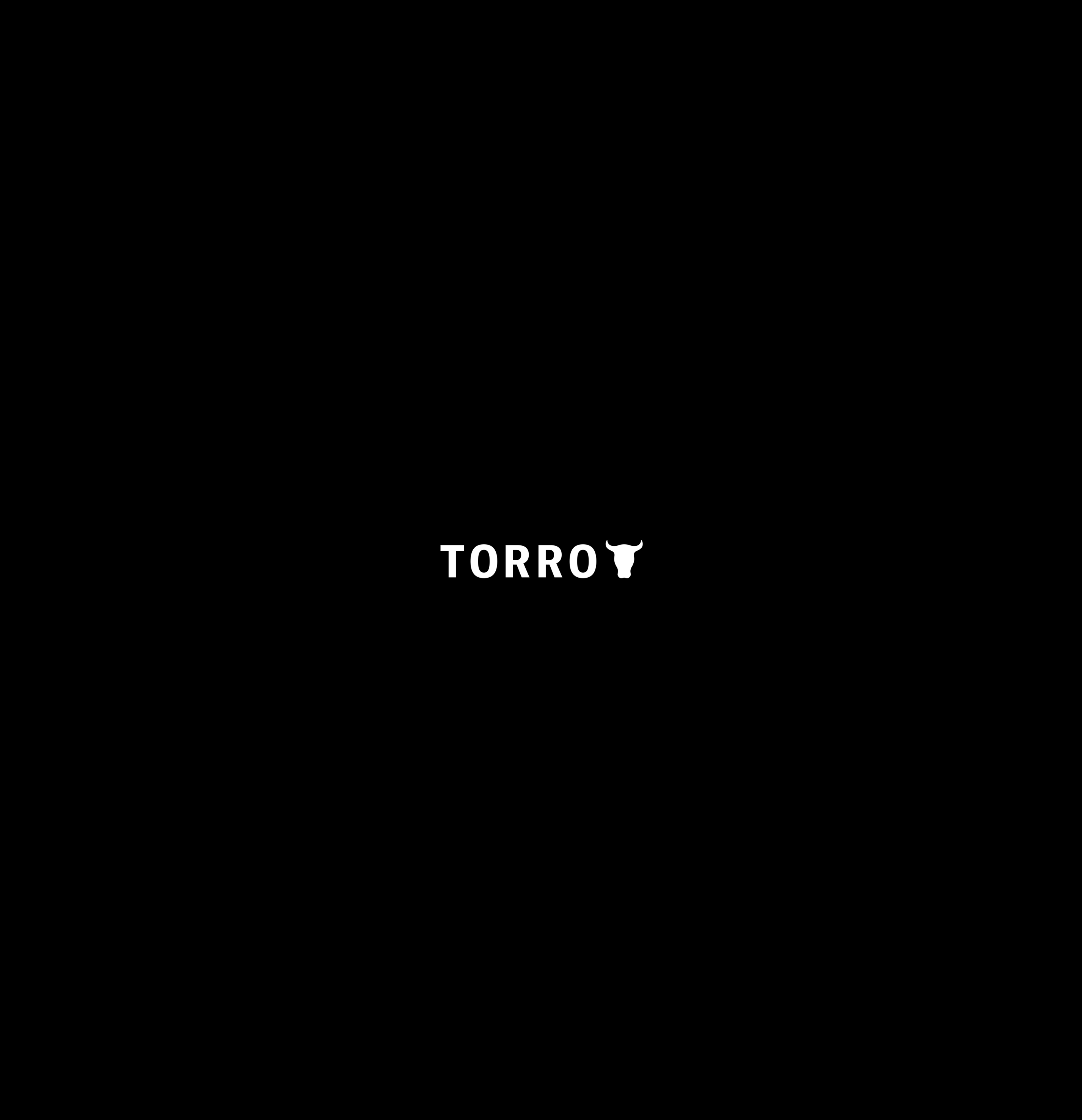 Amazon.com.au: TORRO: Travel Wallet