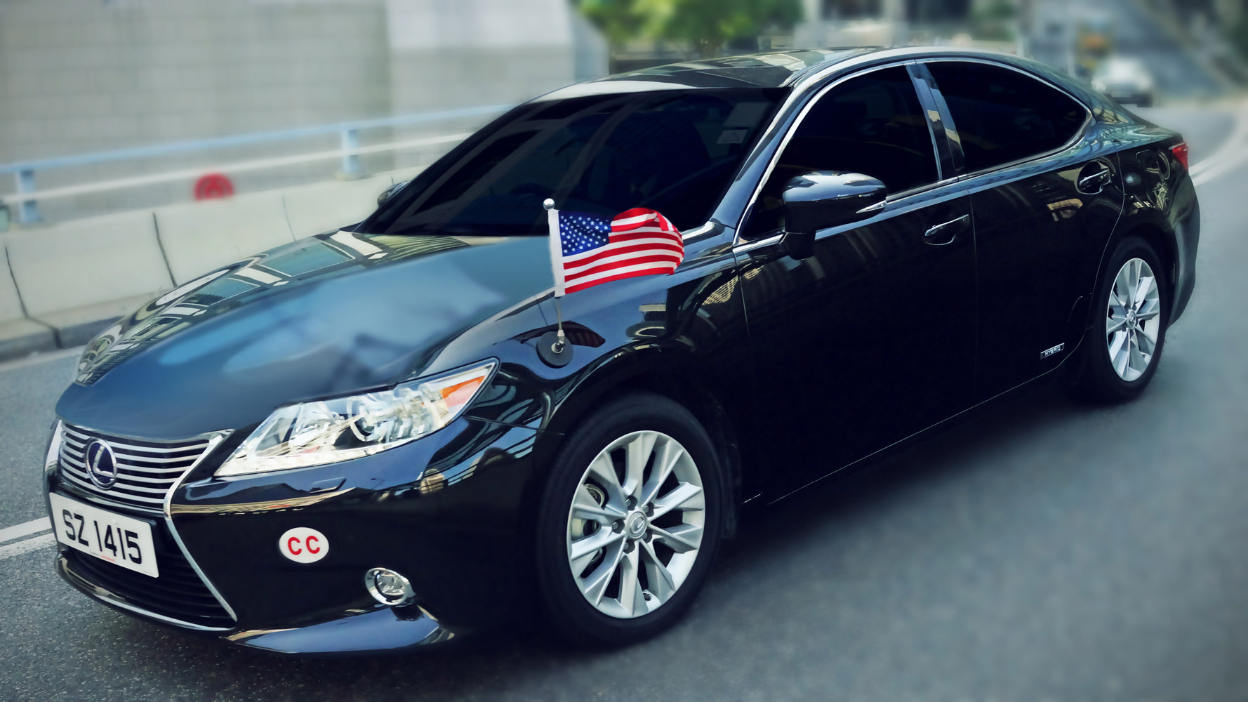 Amazon.com: DIPLOMAT-FLAGS: Car Flags mounted between hood & fender
