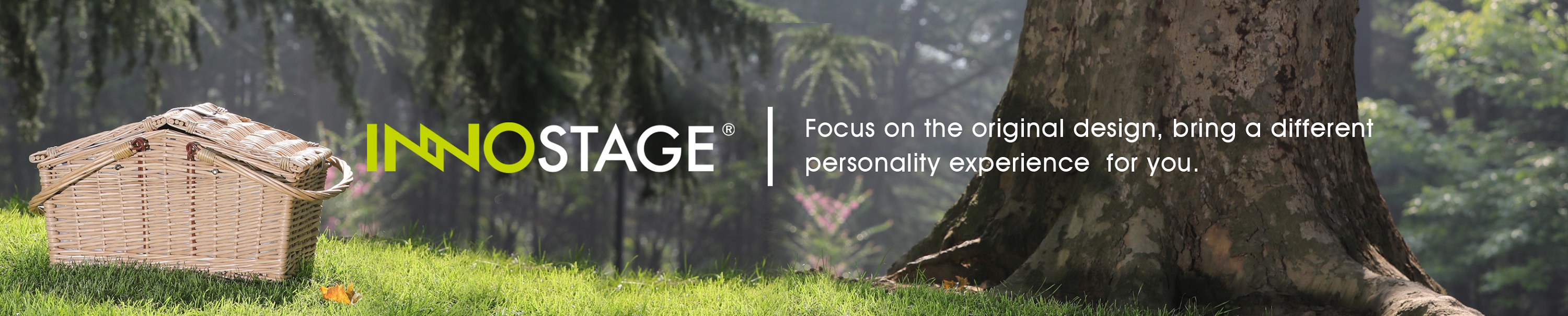 Amazon.com: INNO STAGE: PICNIC BASKET