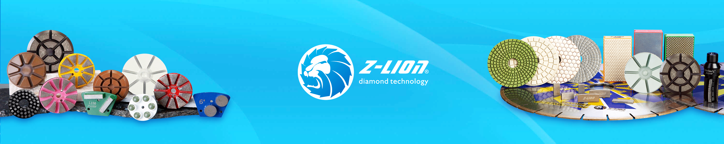 Amazon.com: Z-LION