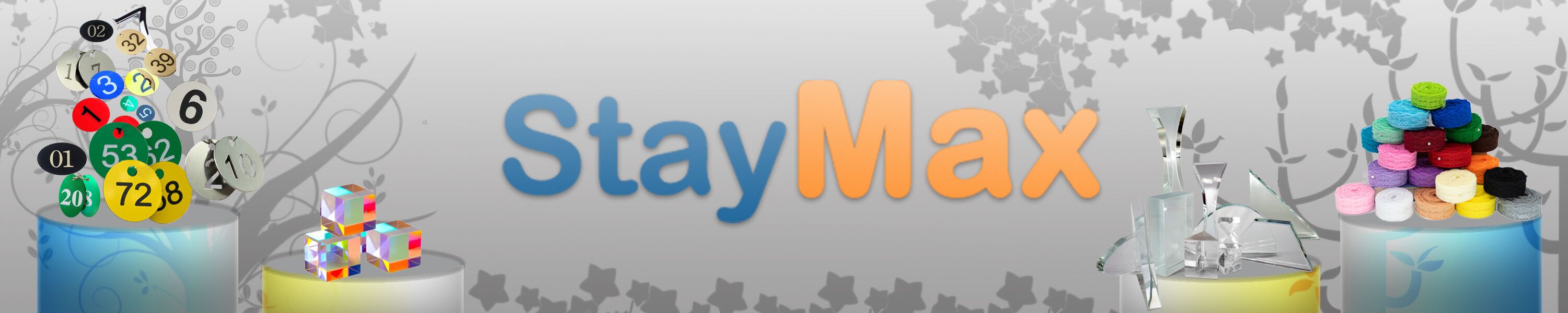Amazon.com: StayMax