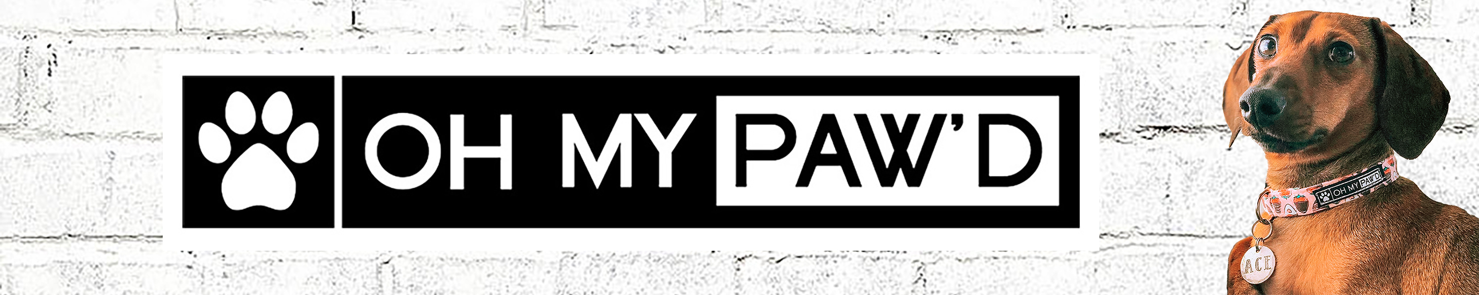 Amazon.com: Oh My Paw'd: Large