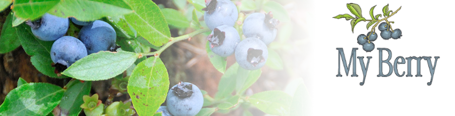 Amazon.com: My Berry Organics