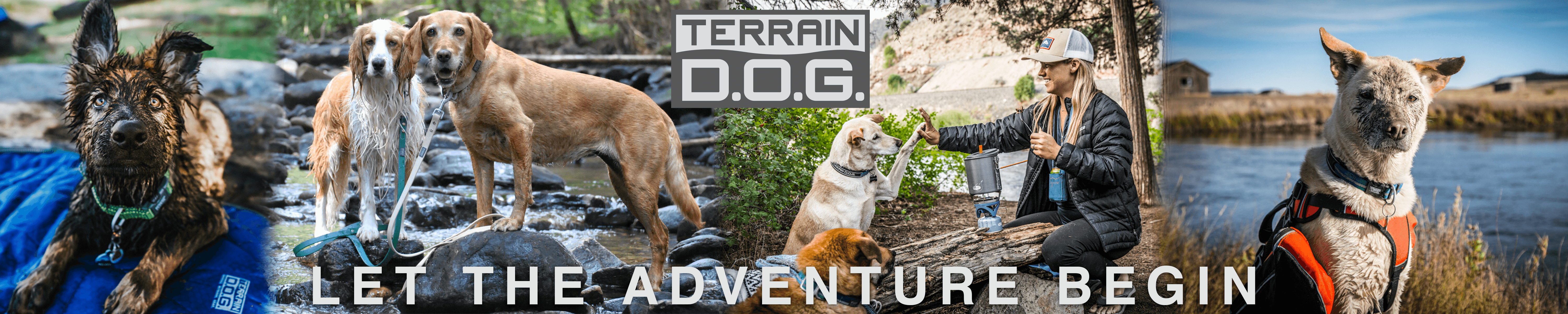 Amazon.com: Terrain D.O.G.: Harnesses