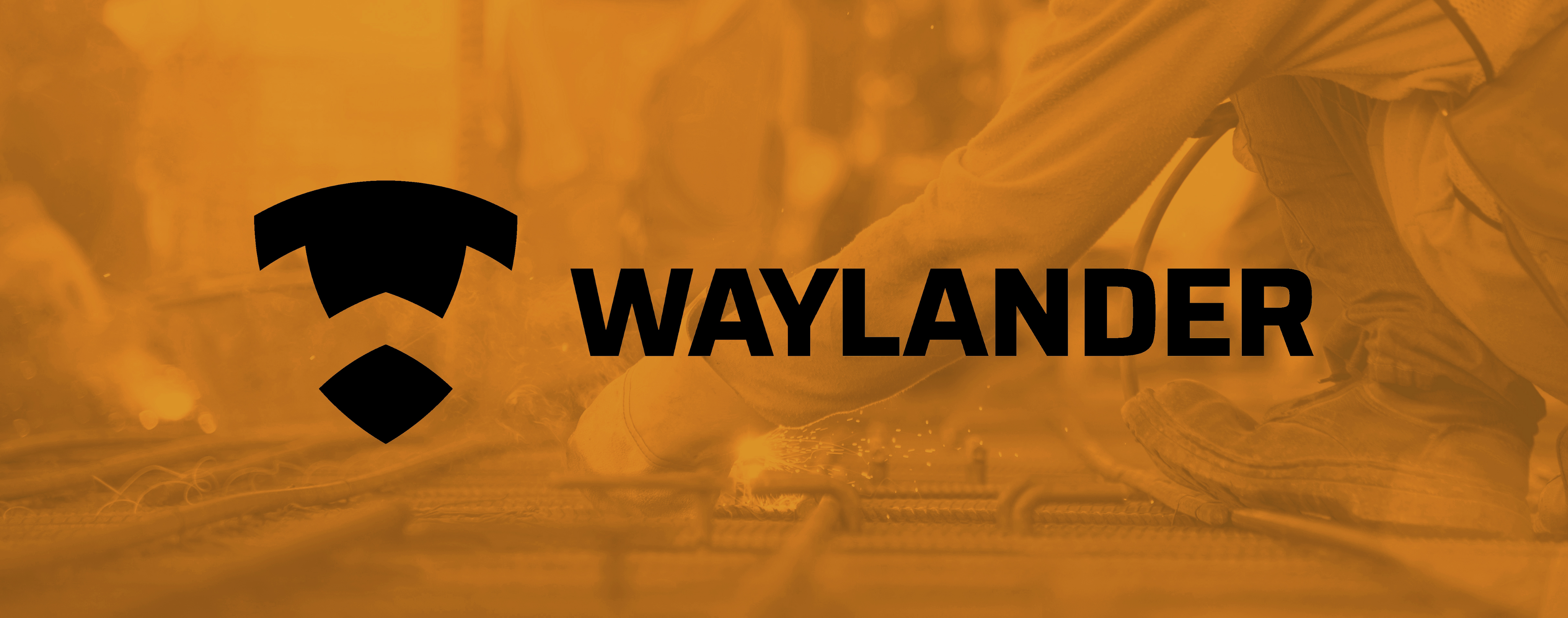 Amazon.com: Waylander