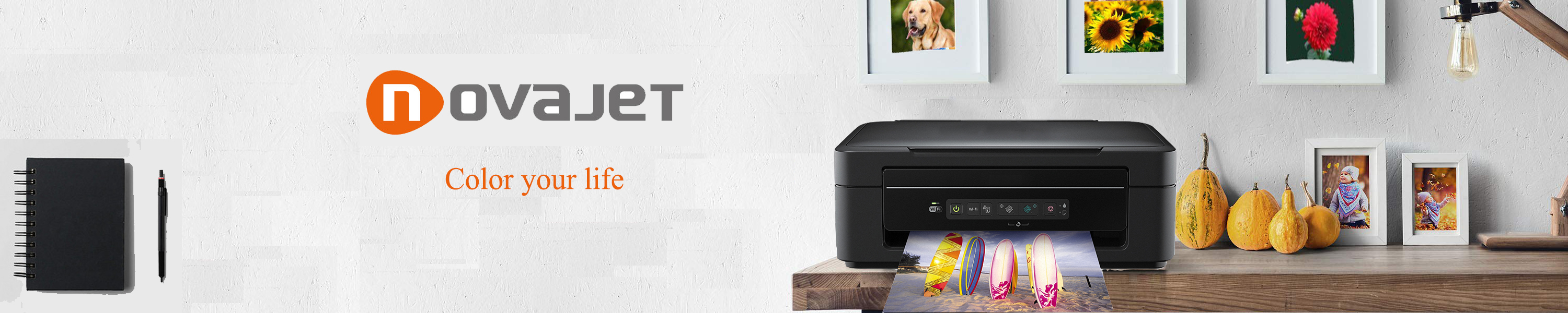 Amazon.com: Novajet: REPLACEMENT FOR CANON