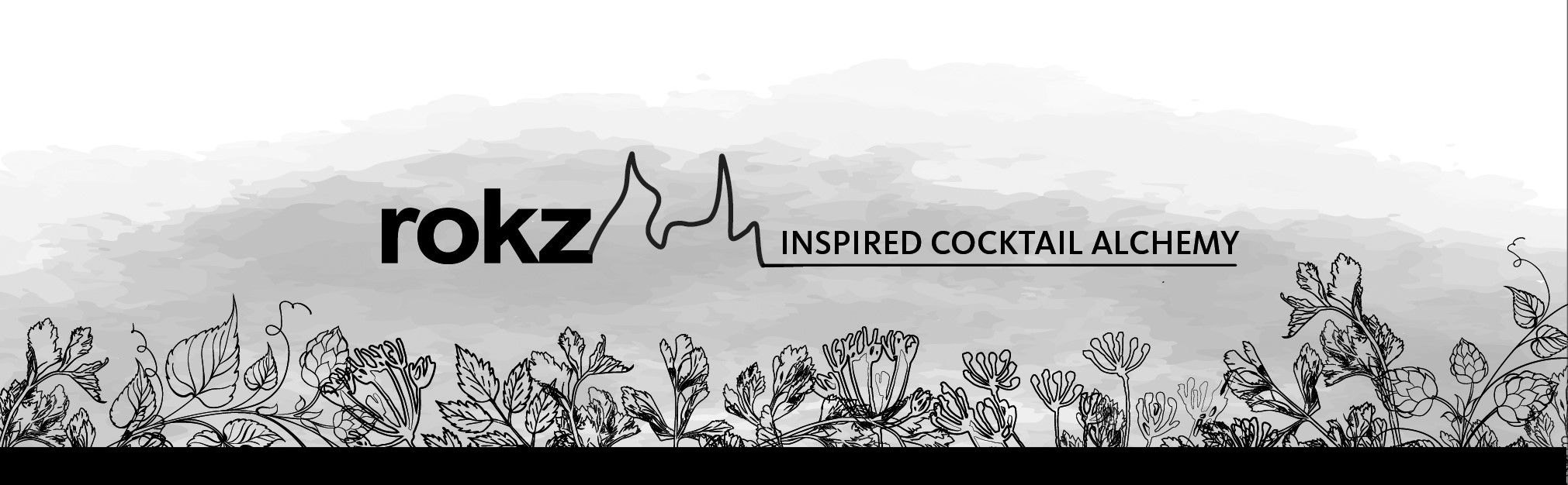 Amazon.com: rokz
