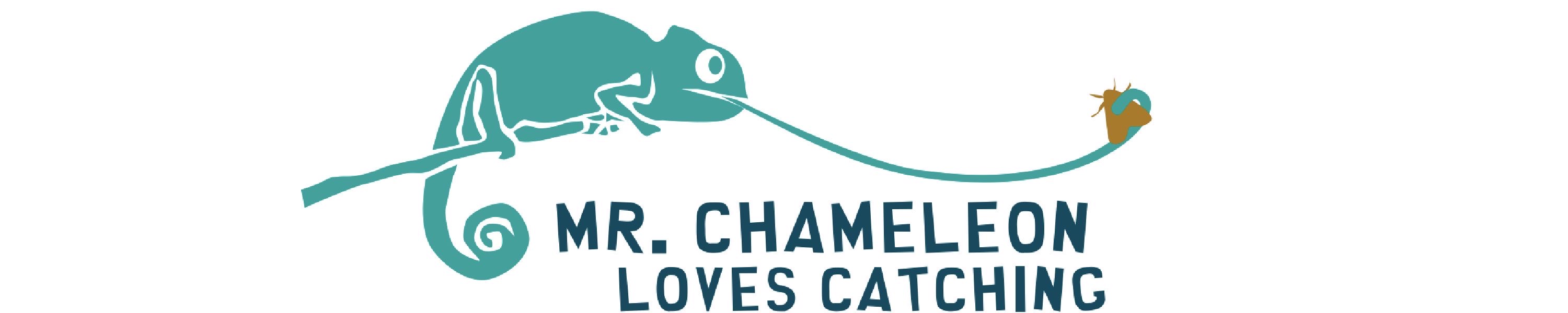 Amazon.com: Mr. Chameleon