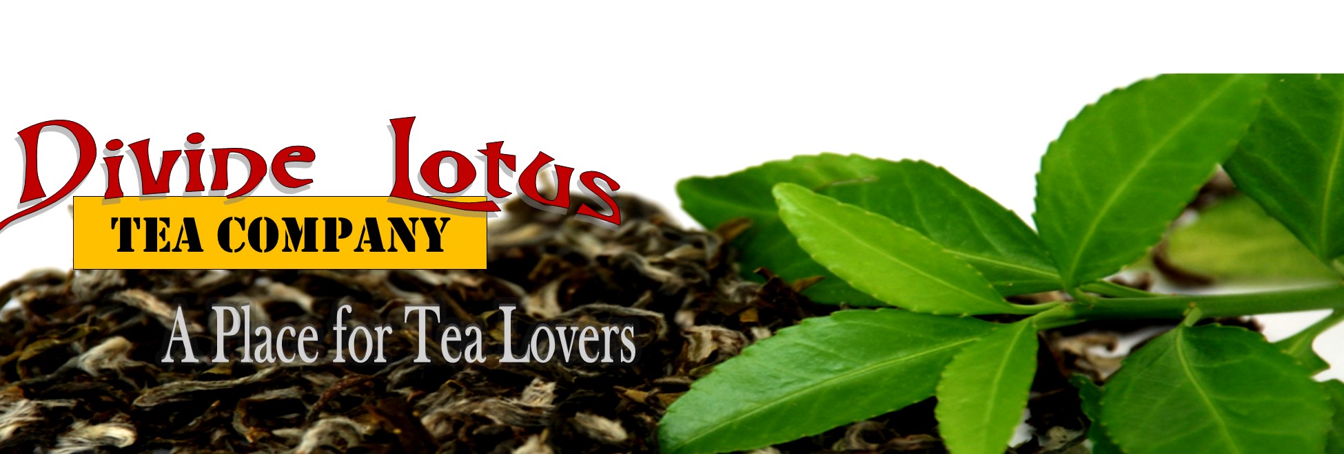Amazon.com: Divine Lotus Tea Company