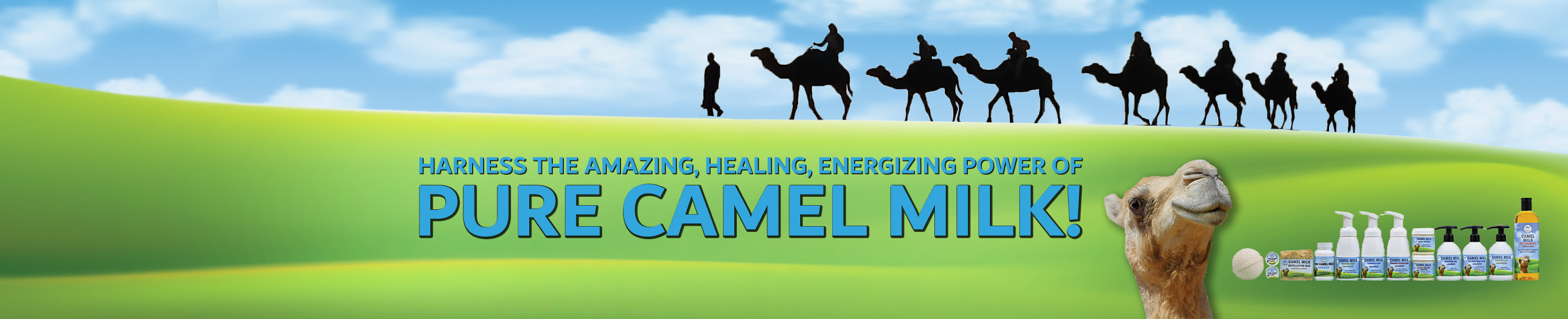 Amazon.com: Camel Life: BAR SOAP & BATH BOMBS