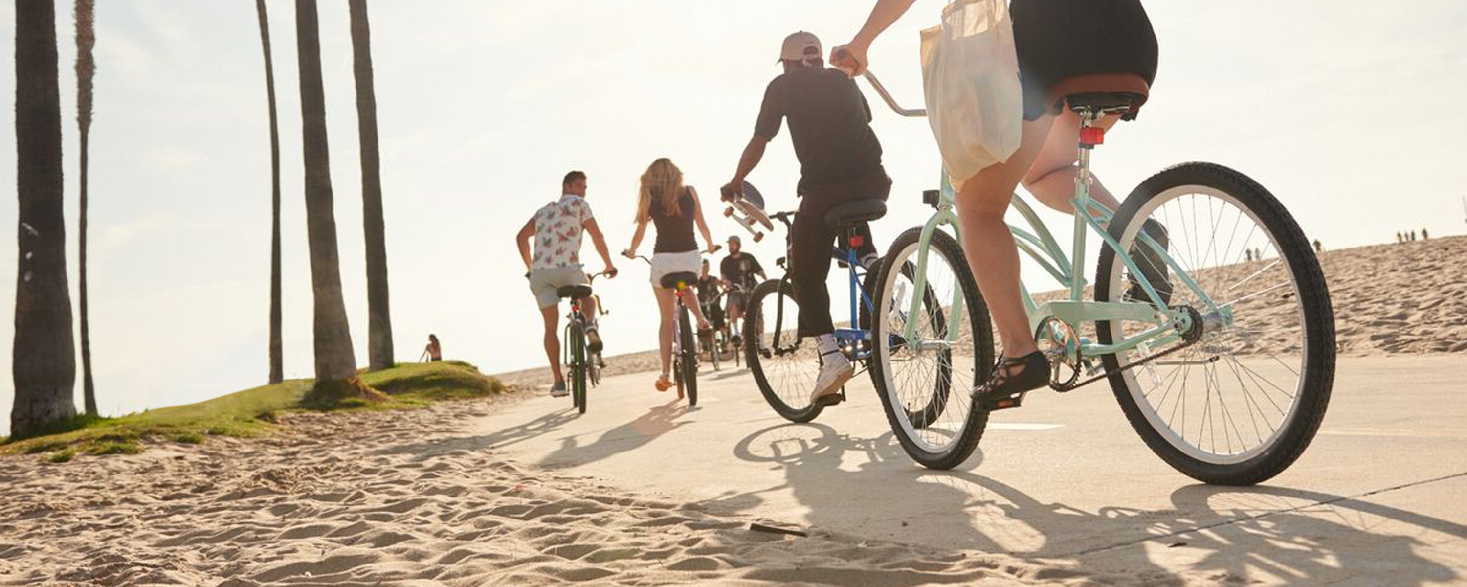 Amazon.com: Critical Cycles: Fitness, Folding, and Balance Bikes