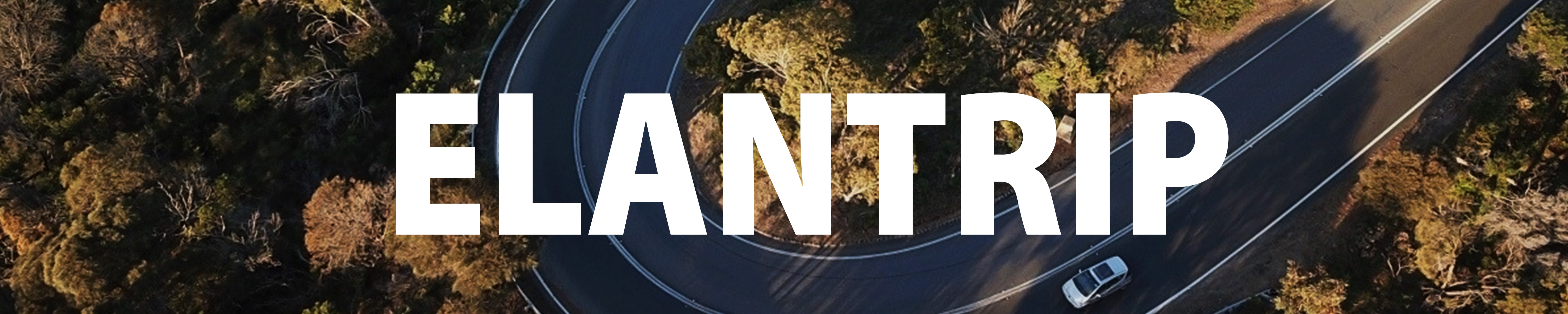 Amazon.com: Elantrip: Seat Cover