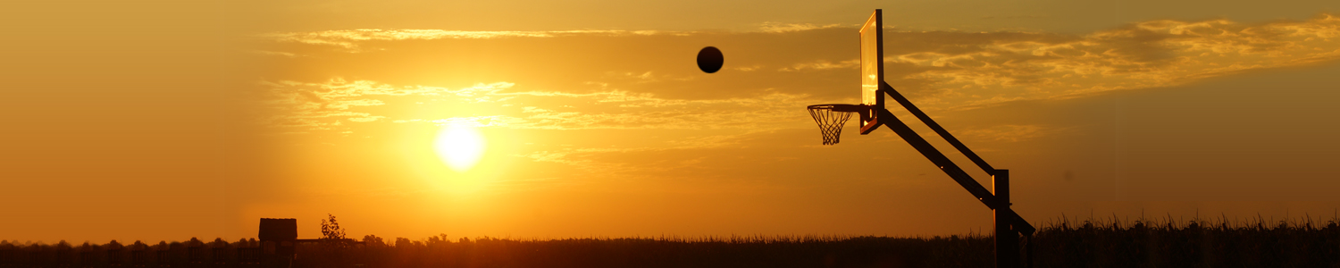 Amazon.com: Pro Dunk Hoops