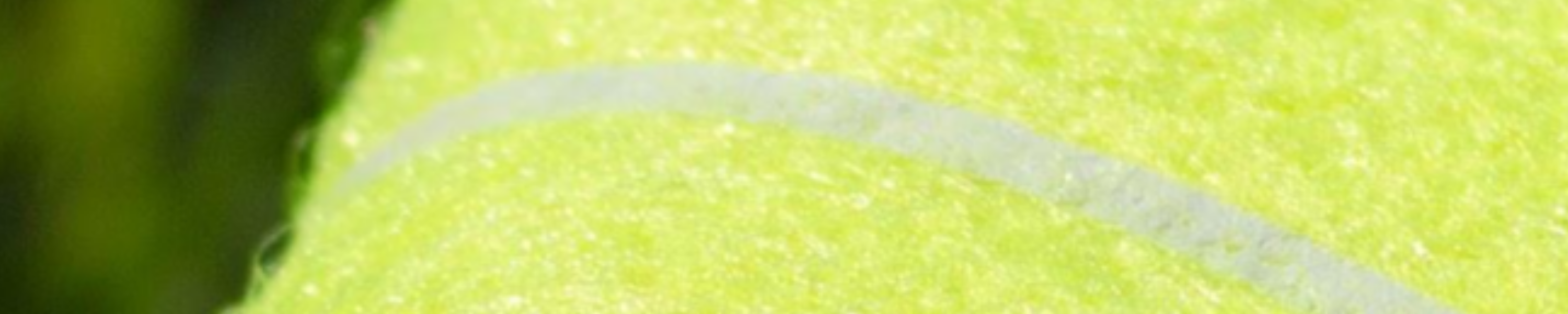 Amazon.com: Zumer Sport: Tennis