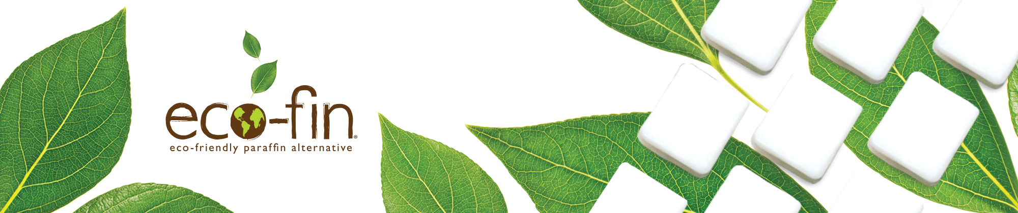 Amazon.com: eco-fin: Paraffin Alternative