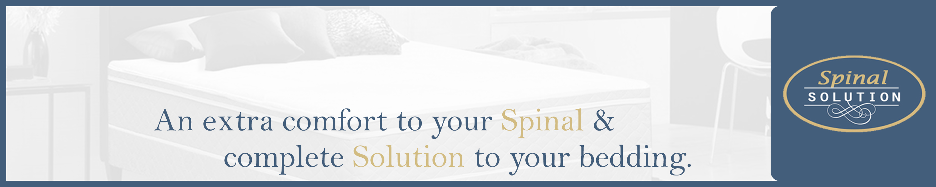 Amazon.com: Spinal Solution: Mattress set