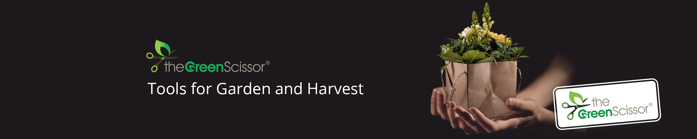 Amazon.com: The Green Scissor