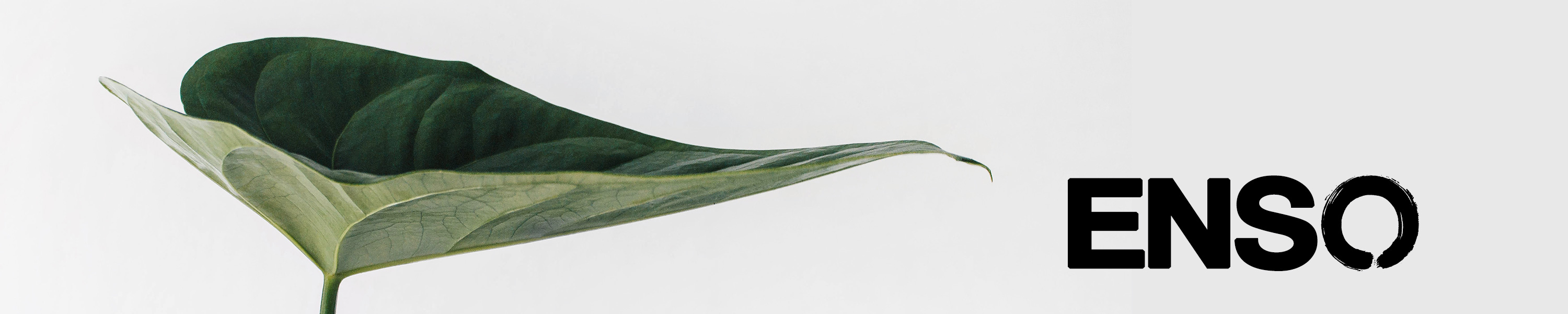 Amazon.co.uk: Enso Store: T Shirts