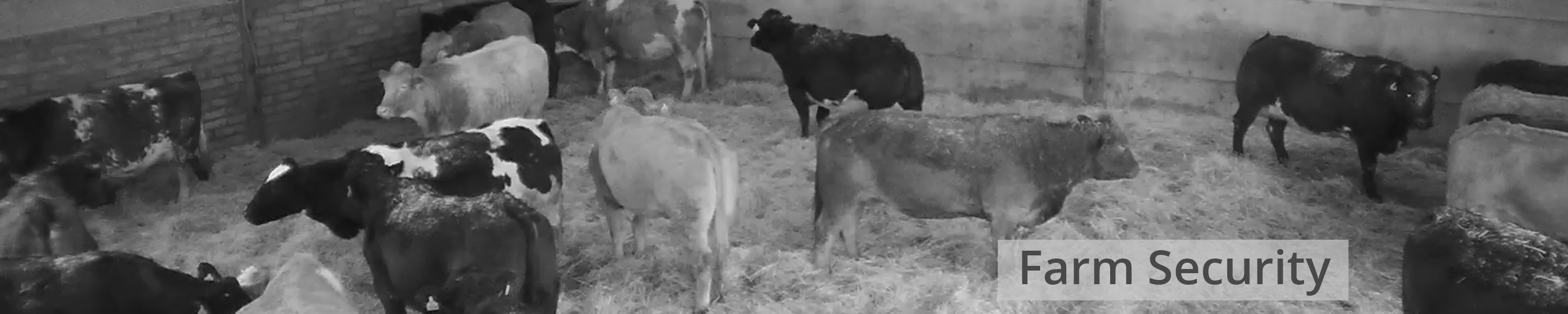 Amazon.co.uk: SpyCameraCCTV: Farm Security