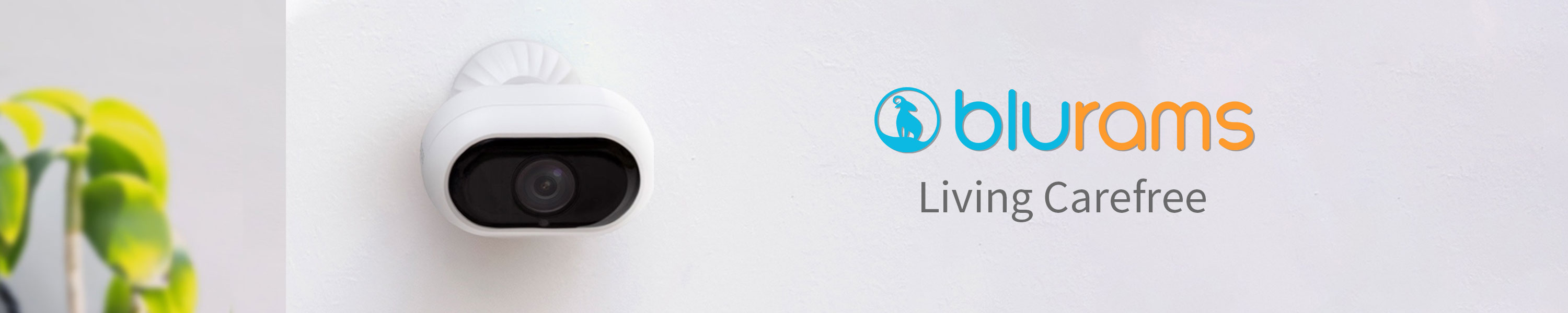 Amazon.co.uk: Blurams: Indoor Camera