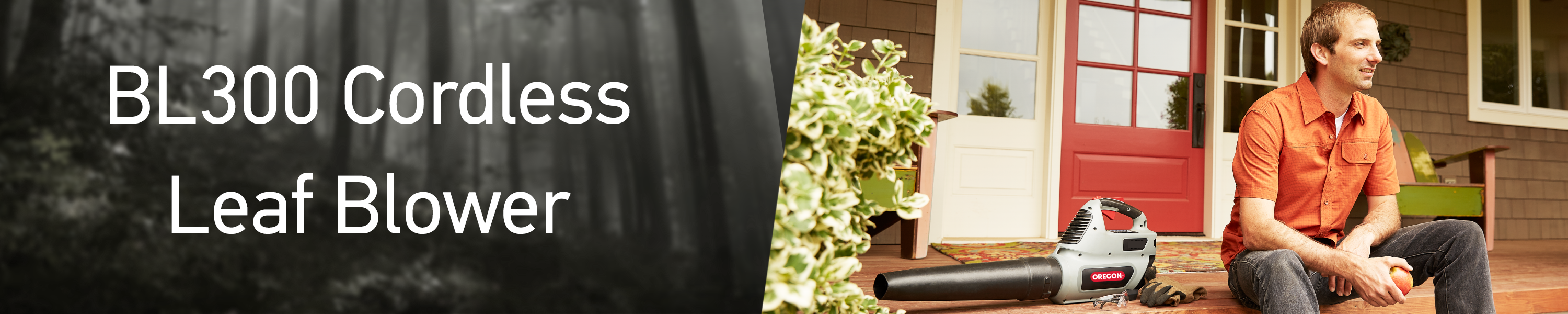 Amazon.co.uk: Oregon: BL300 Cordless Leaf Blower