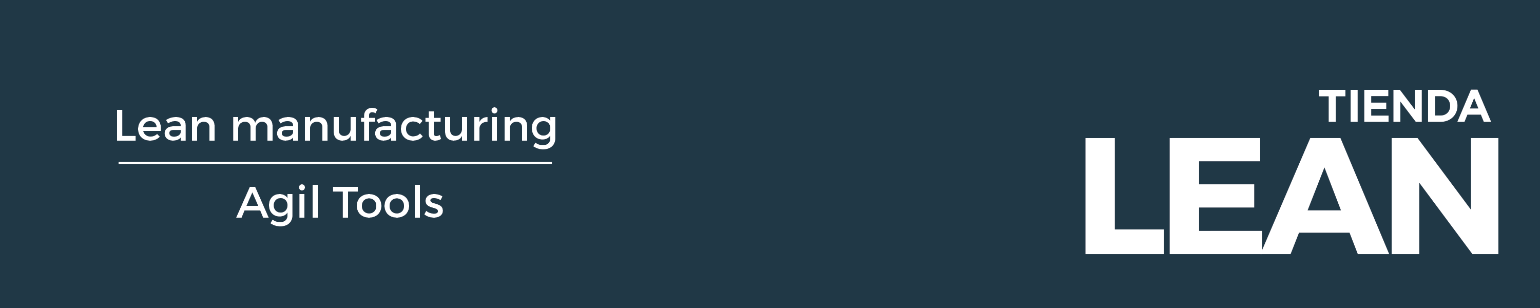 Amazon.co.uk: Tienda lean: agile cards