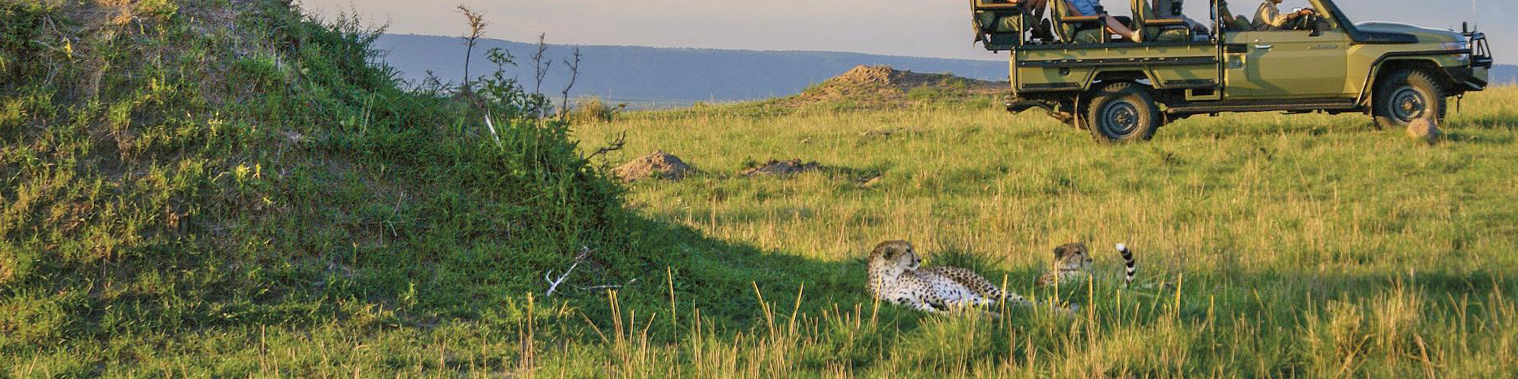 Amazon.co.uk: G5 APPAREL: Travel Essentials