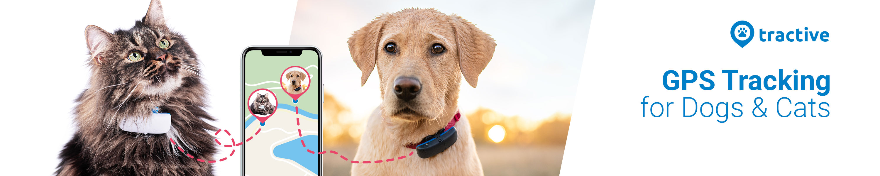 Amazon.co.uk: Tractive