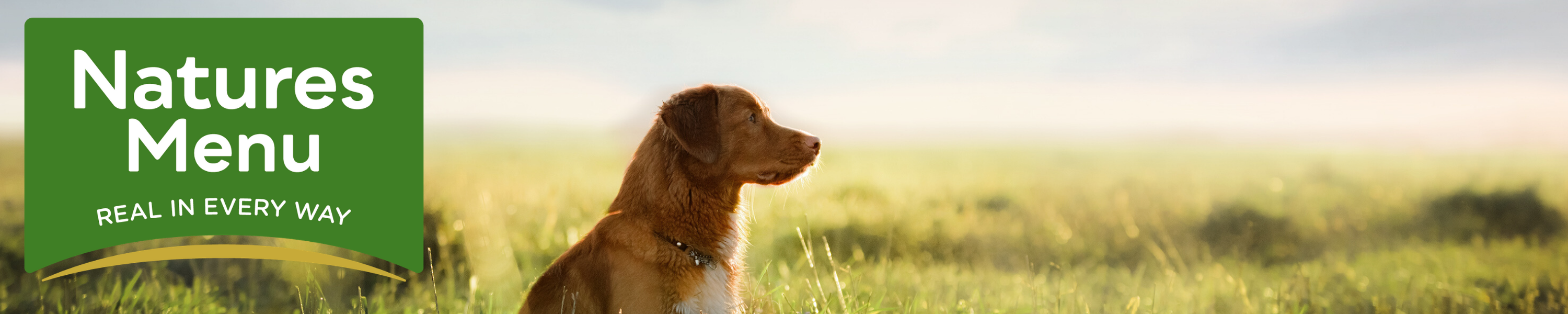 Amazon.co.uk: Natures Menu