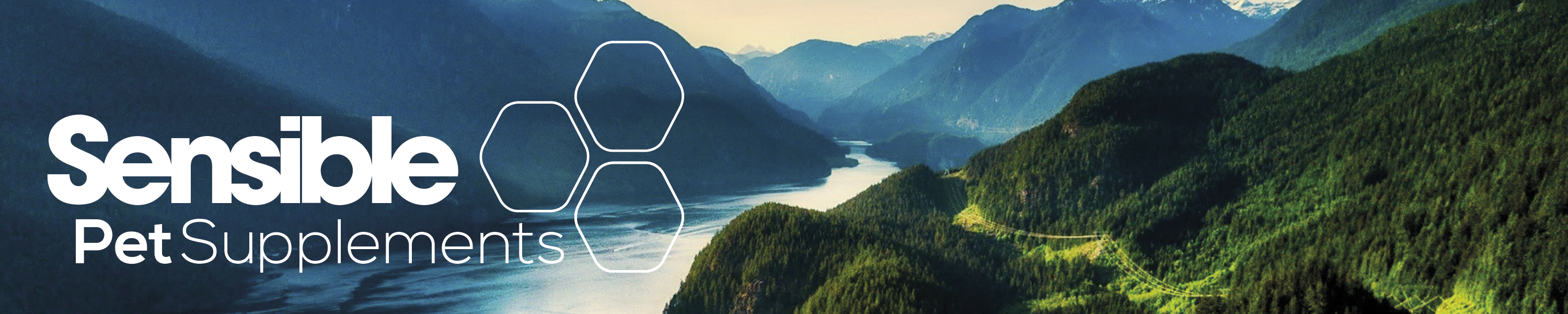 Amazon.co.uk: Sensible Supplements