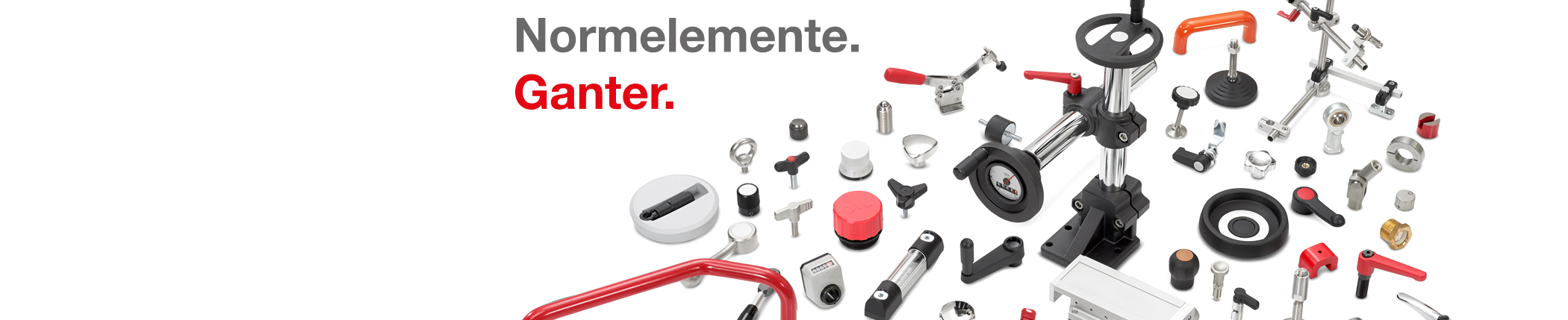 Amazon.de: Ganter Normelemente