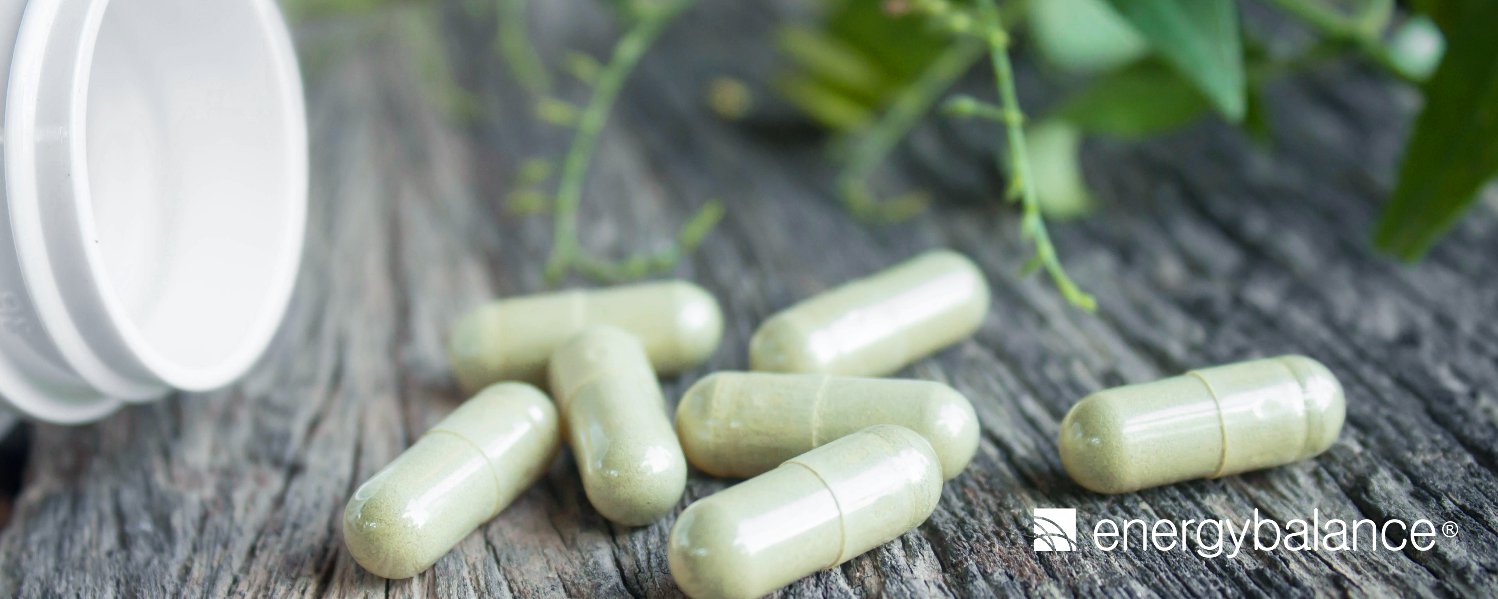 Amazon.de: EnergyBalance: Dr. Jens Wurster