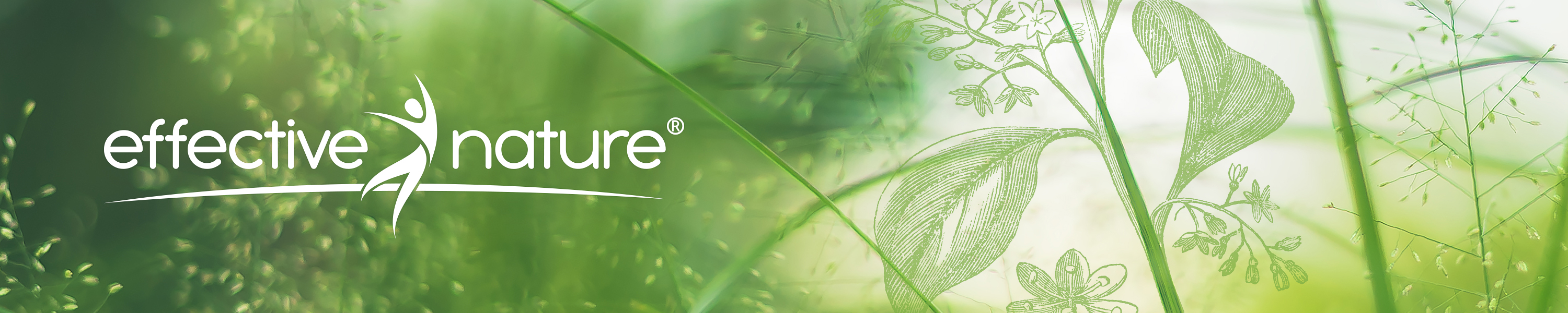 Amazon.de: effective nature