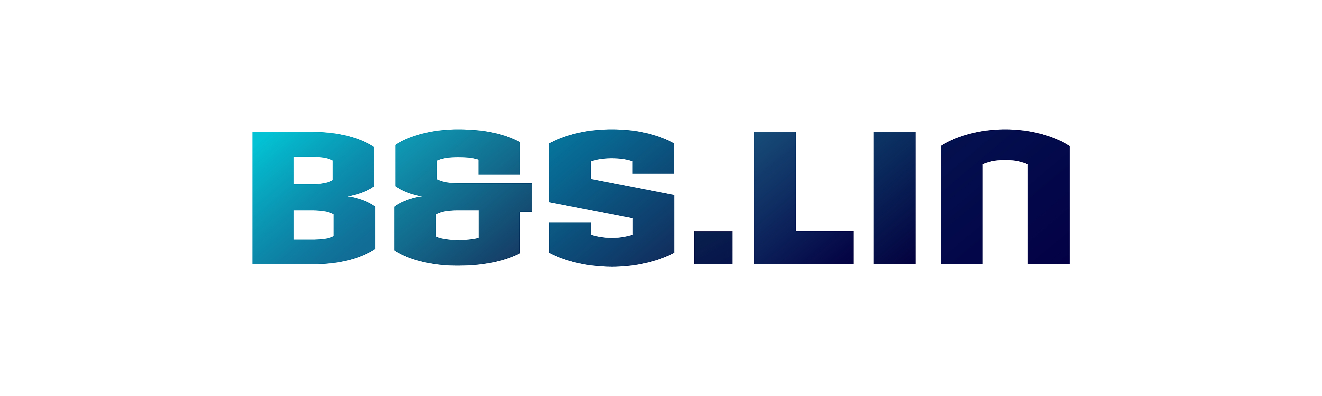 Amazon.co.jp: B&S.LIN: STANDARD