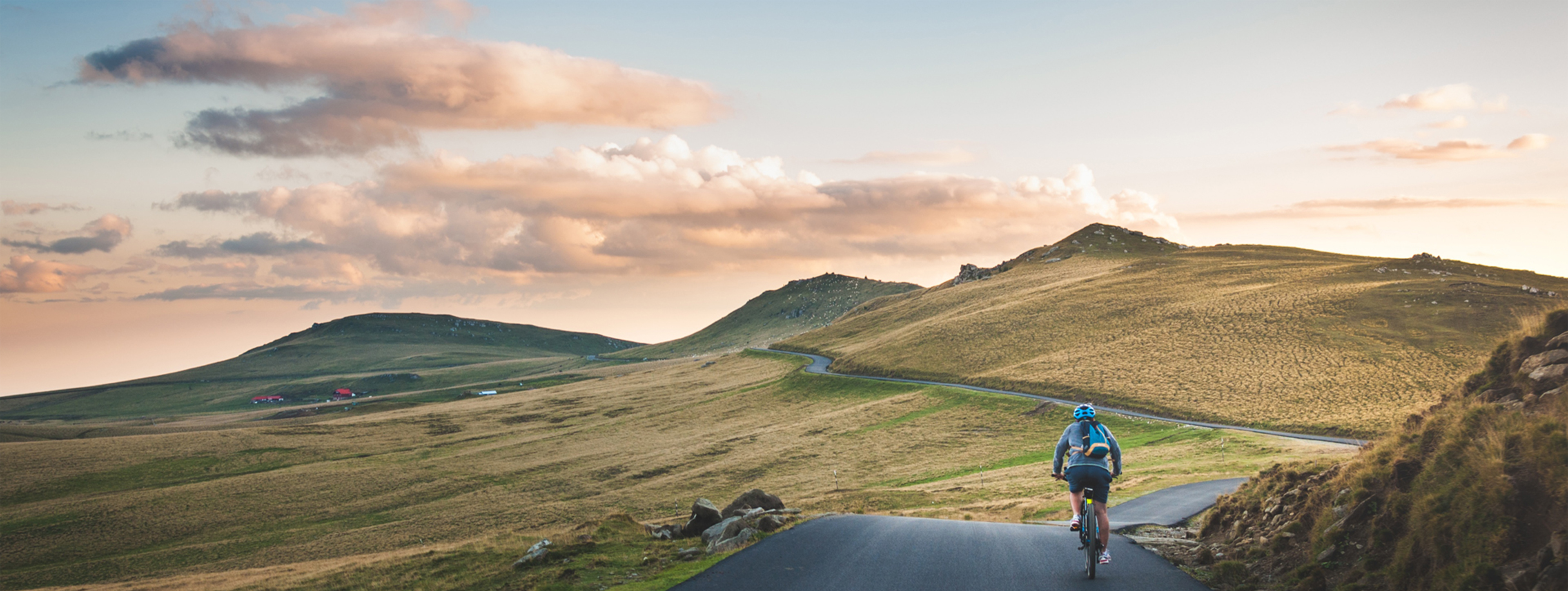 Amazon.co.jp: Shinmax