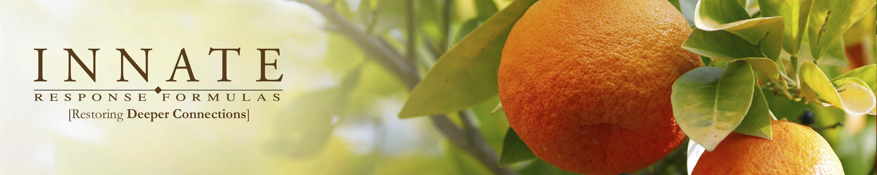 Amazon.ca: INNATE Response Formulas: B-Complex