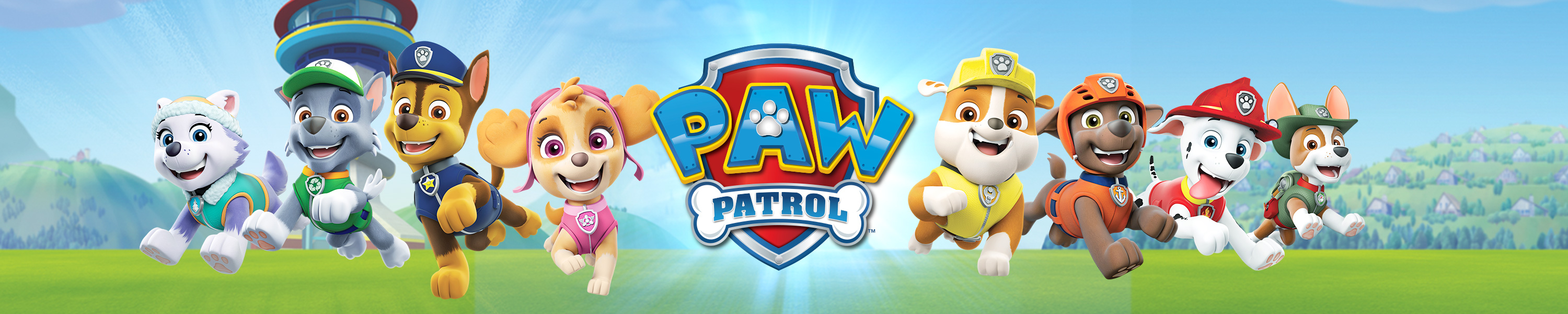 Amazon.ca: Paw Patrol : COLLECTIONS & MULTI-FEATURES