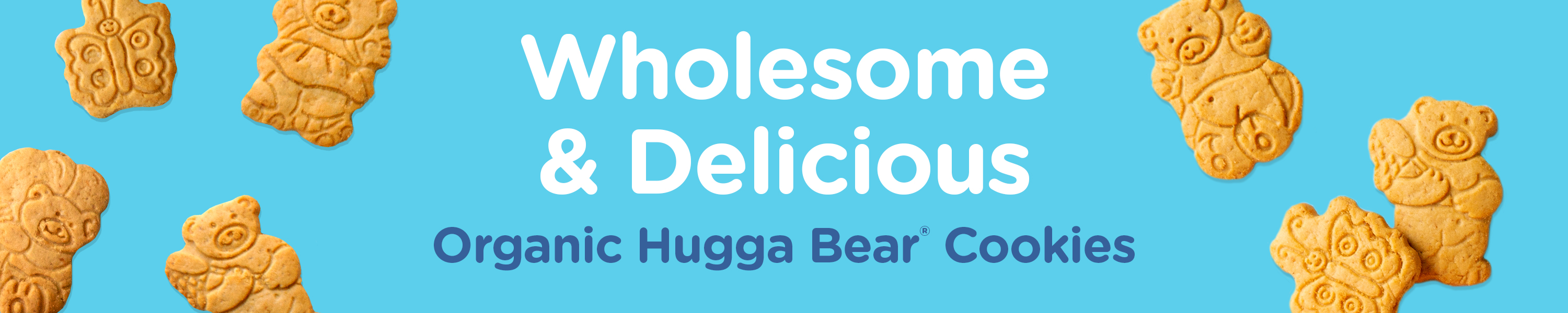 Amazon.ca: Healthy Times: Organic Hugga Bear Cookies