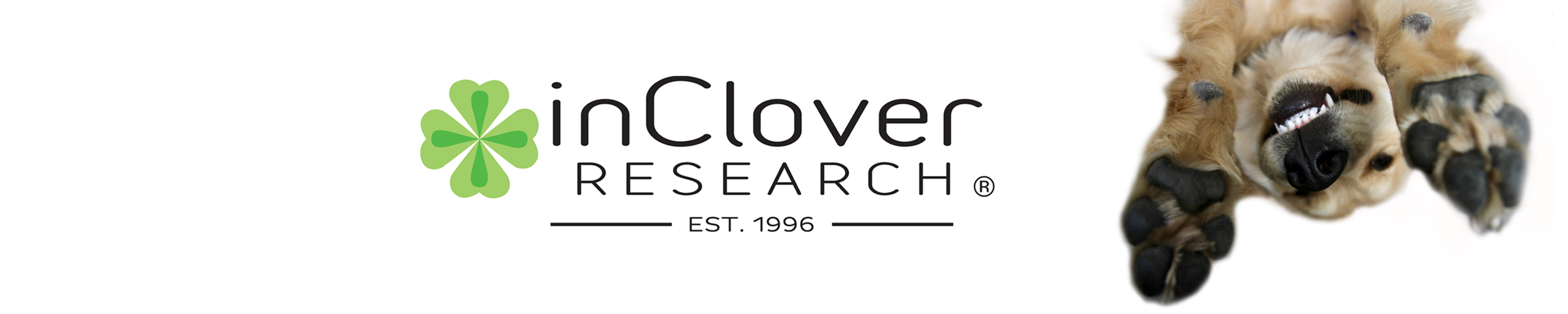 Amazon.com: In Clover: Dogs